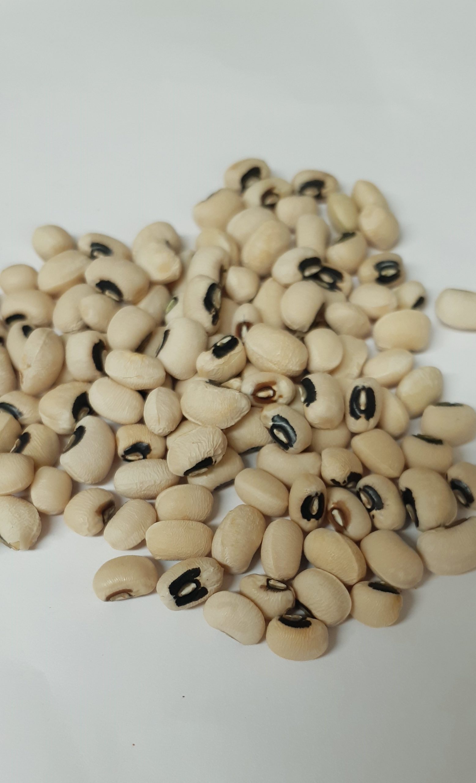 BEANS BLACK EYED 1KG PKT - Northern Foods