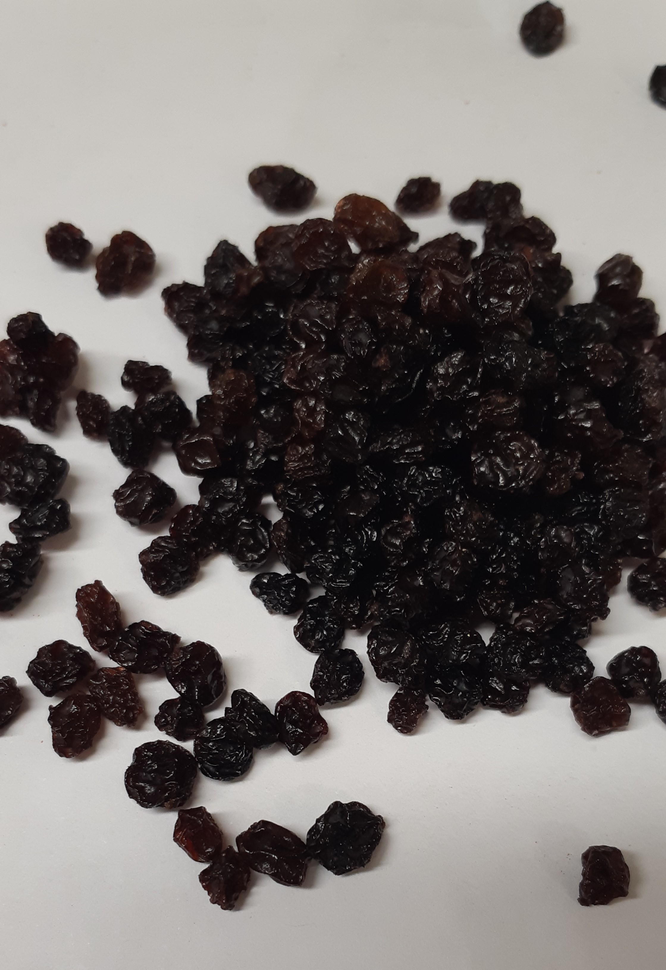 CURRANTS DRIED 1KG PKT - Northern Foods