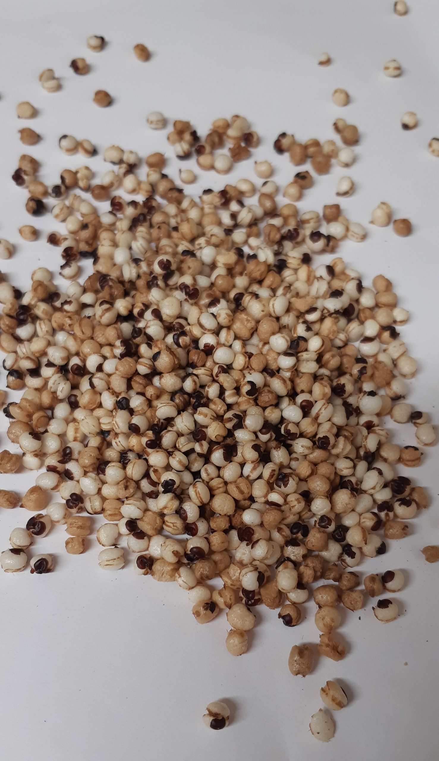 QUINOA RED PUFFED 1KG PKT - Northern Foods