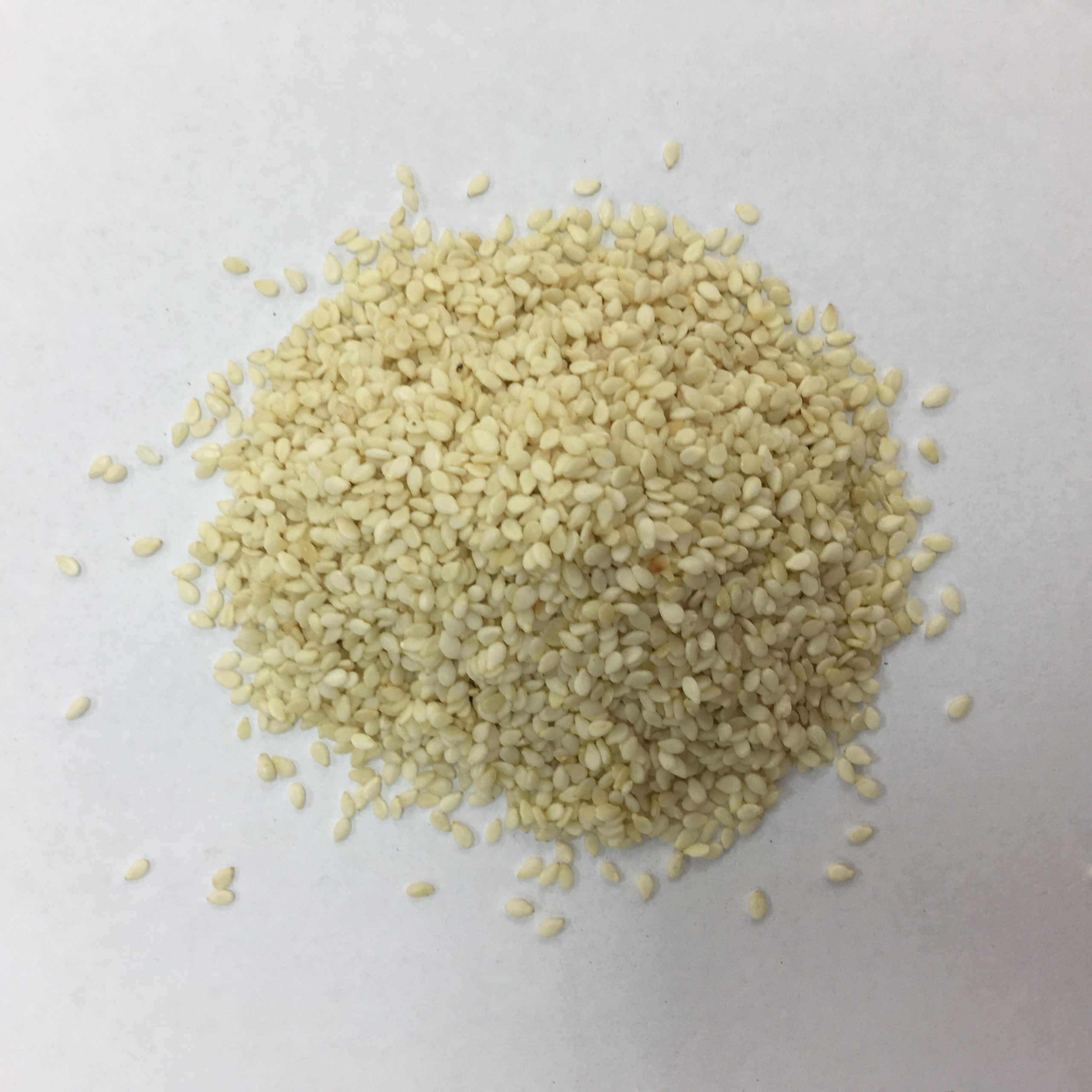 SEEDS SESAME WHITE #1 15KG BAG - Northern Foods