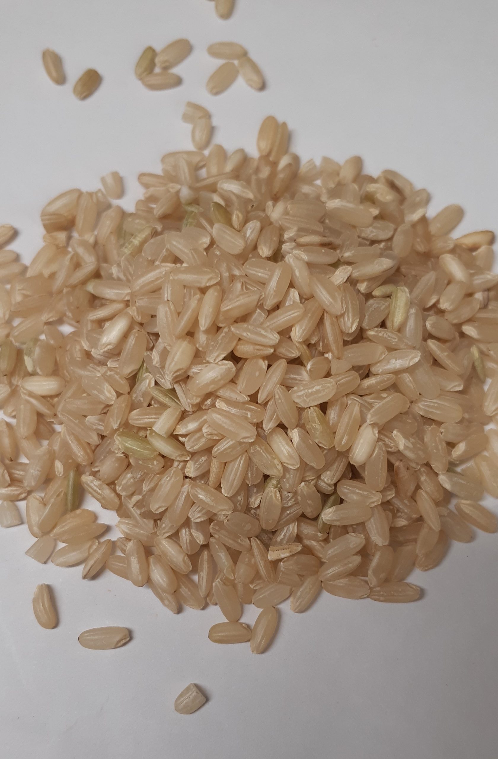 RICE BROWN 3KG PKT - Northern Foods
