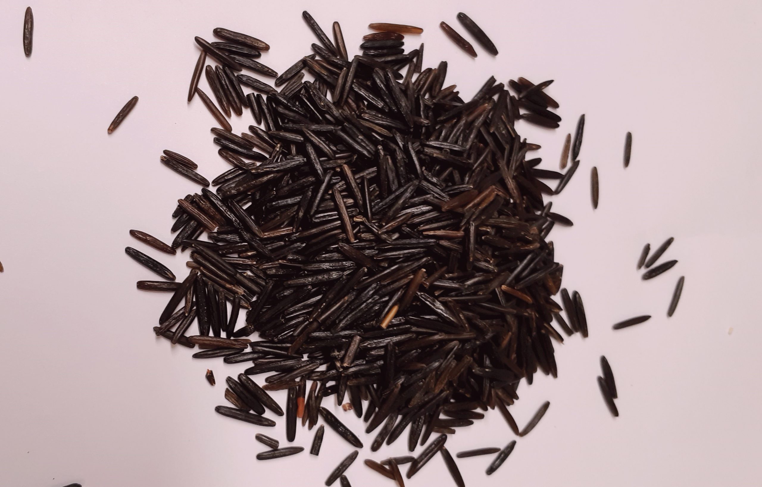 RICE WILD 1KG PKT - Northern Foods